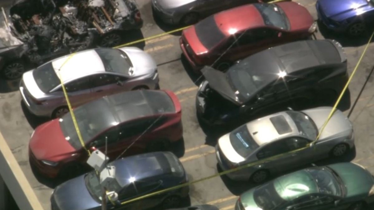 Who is D4vd? Singer tied to investigation days after Chicago show – NBC ...