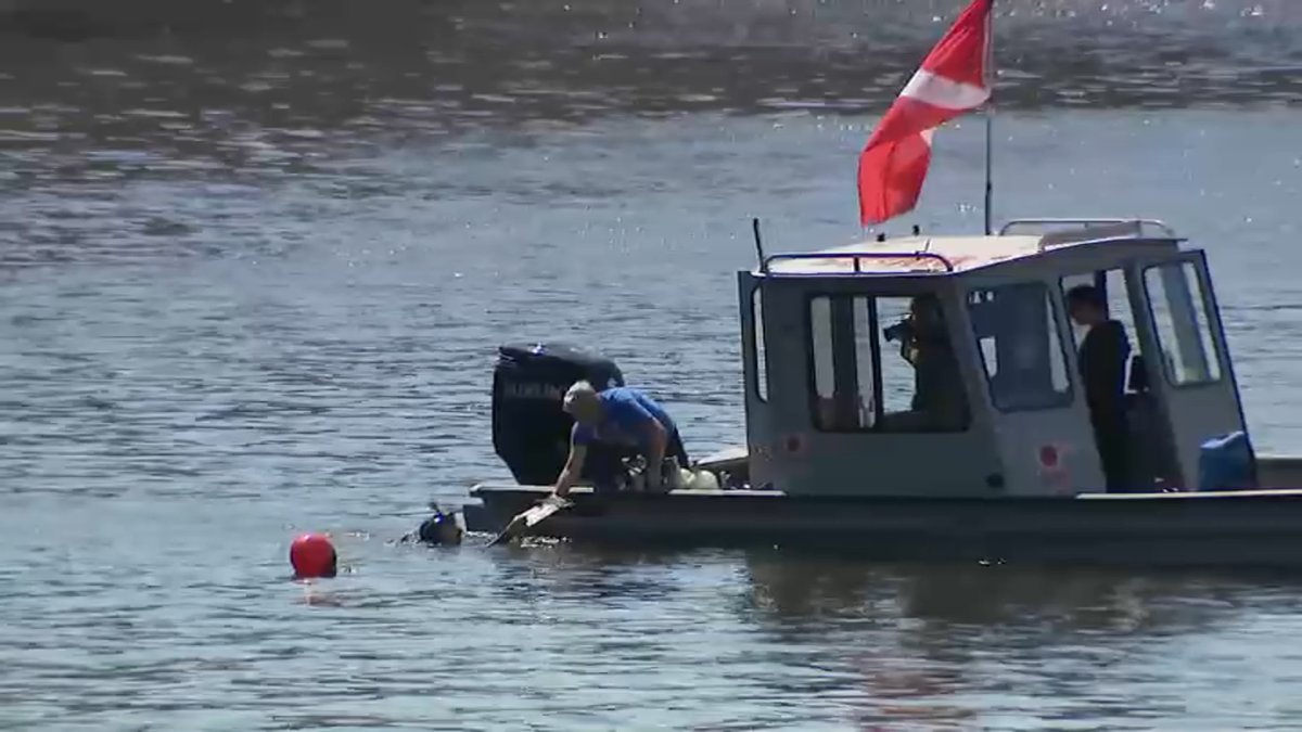 Nearly 100 cars found in Chicago River in search for missing couple ...