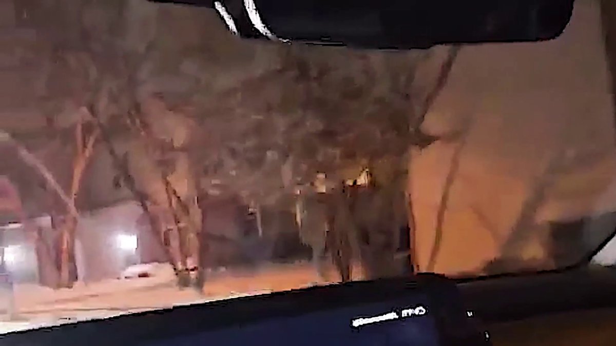 Video shows heavy police activity in Streamwood – NBC Chicago