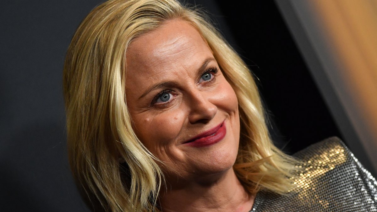 Amy Poehler swears on flight in front of baby, fights with costar – NBC ...