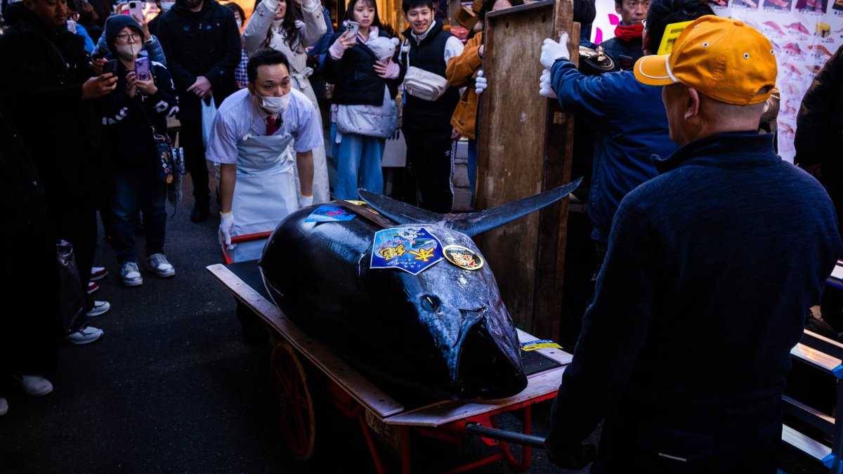 Bluefin tuna sells for record $3.2M at auction at Tokyo market – NBC ...