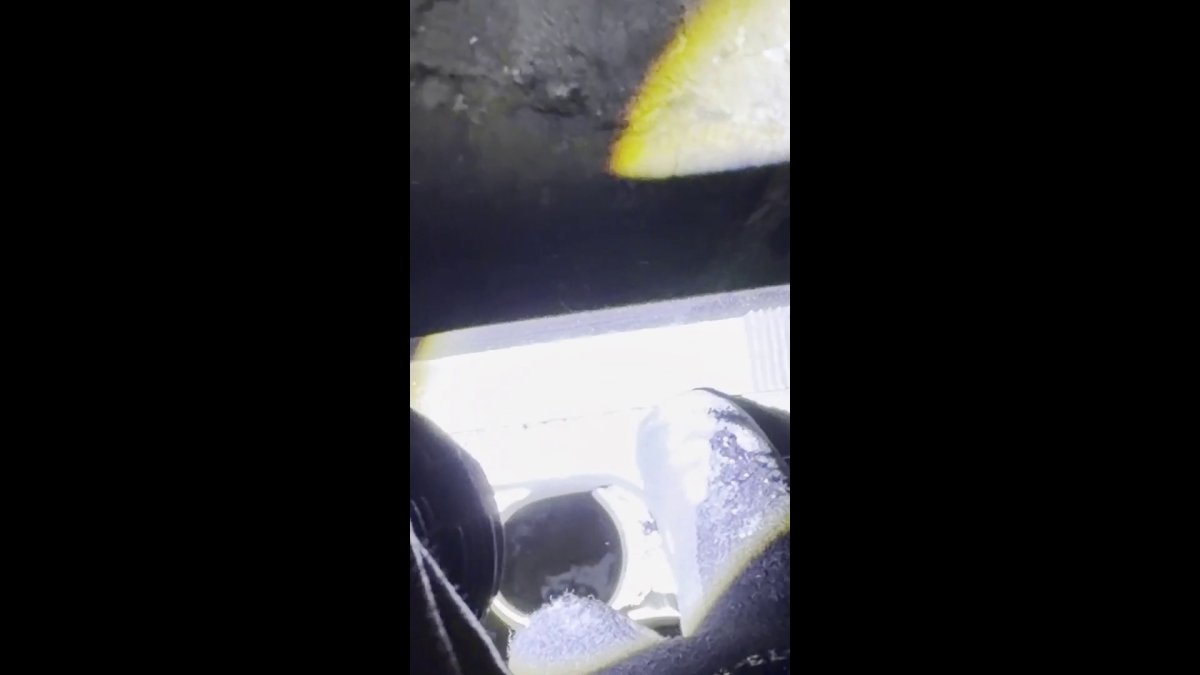 Gun from 1903 found inside wall of Thornton Distilling Company – NBC ...