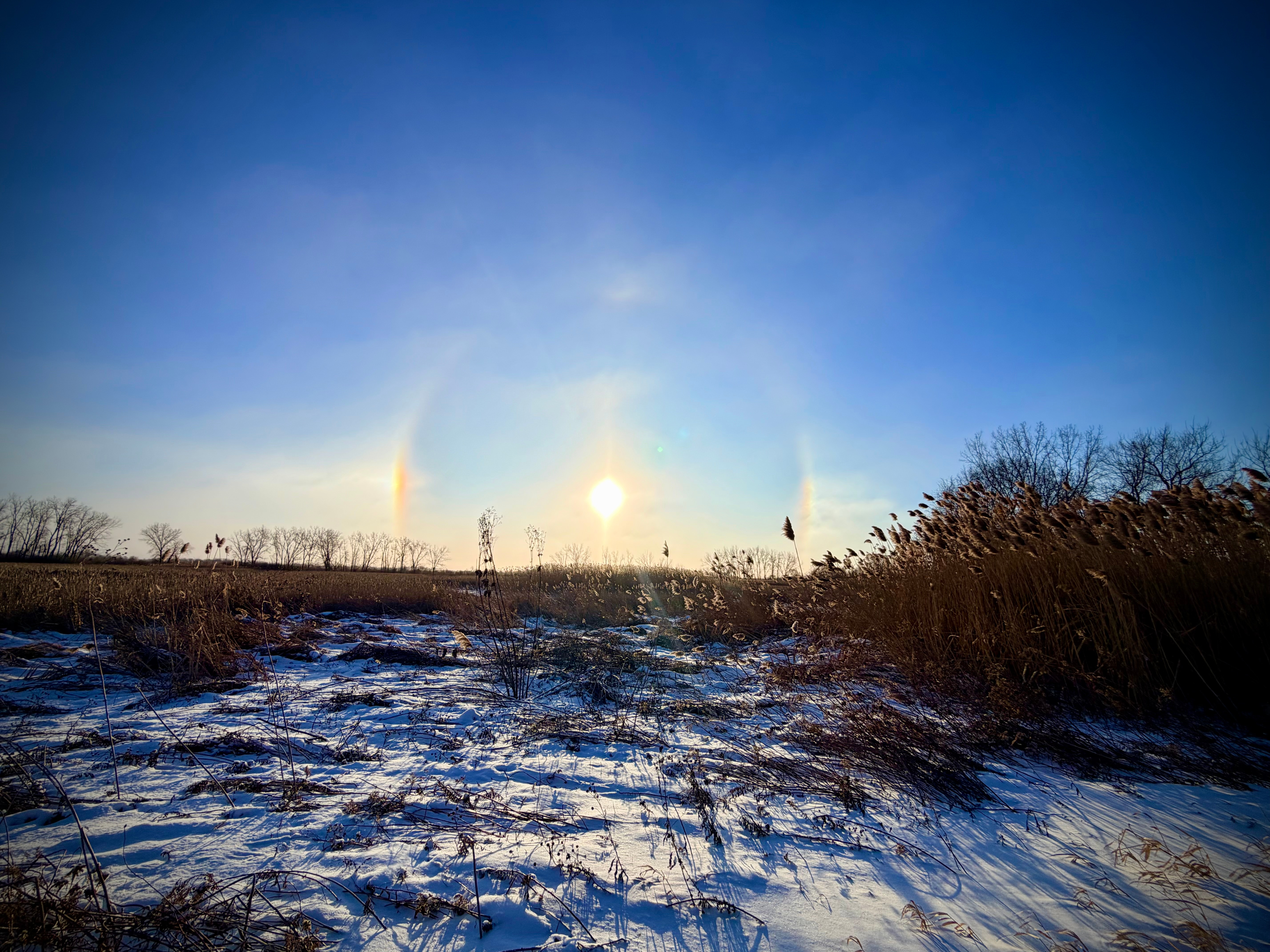 What is a sundog? Stunning phenomenon seen in Chicago area – NBC Chicago