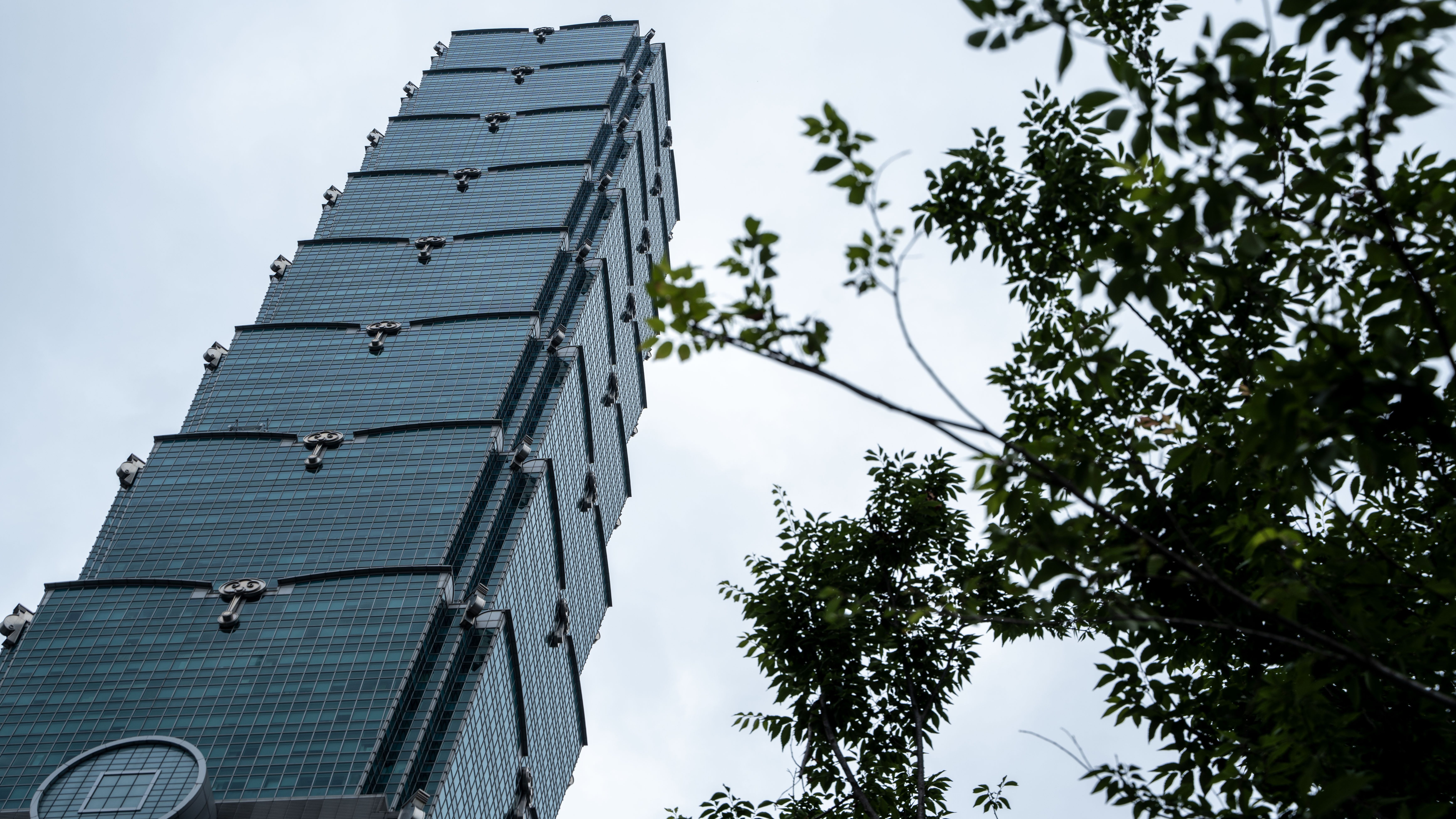 Alex Honnold to climb Taipei 101 with no ropes, live on TV – NBC Chicago