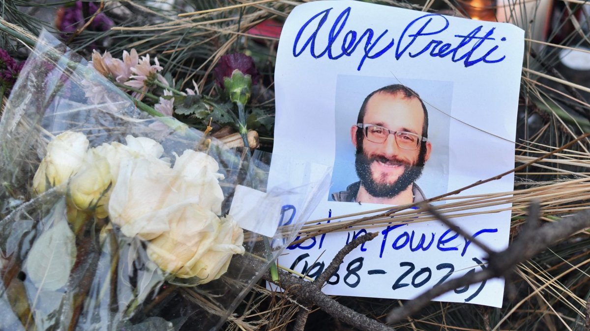 Federal officers involved in Alex Pretti shooting placed on leave: DHS ...