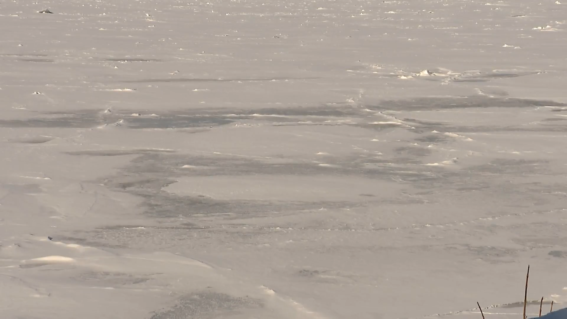 What is pancake ice? Lake Michigan formation poses safety risk ...