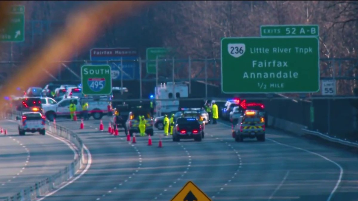 Woman and dog killed in Beltway road rage stabbing rampage in Va. – NBC ...