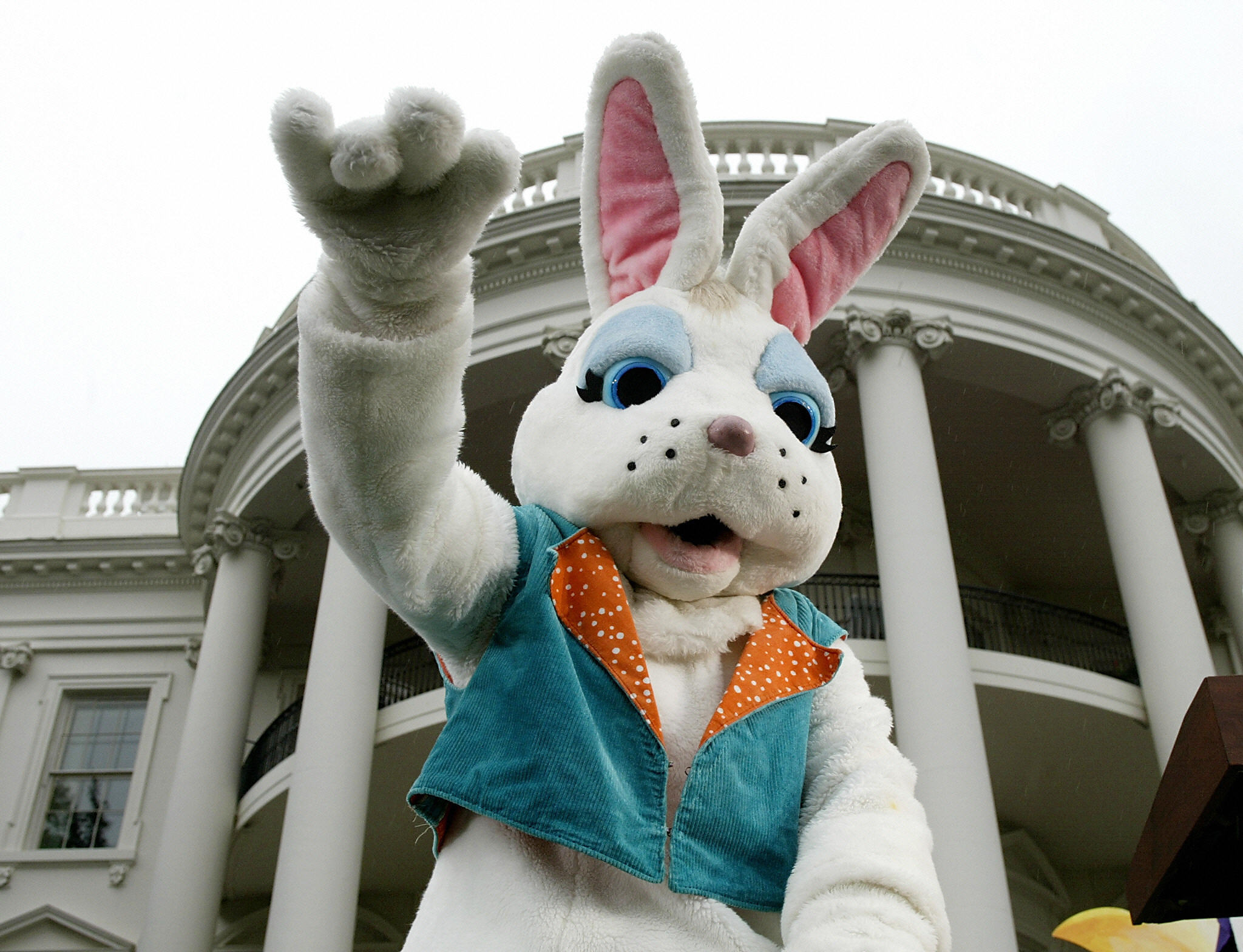 Is the Easter Bunny real? How to talk to kids about it – NBC Chicago