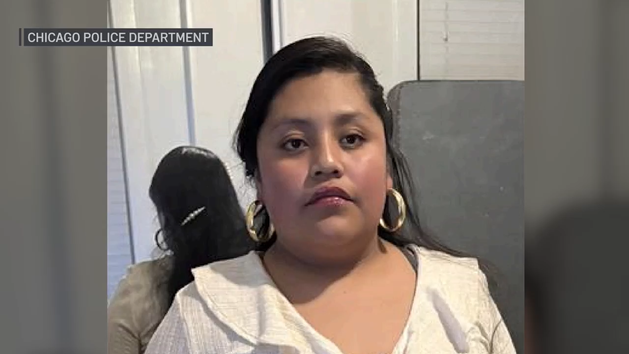 Mom, young daughter reported missing in Chicago – NBC Chicago