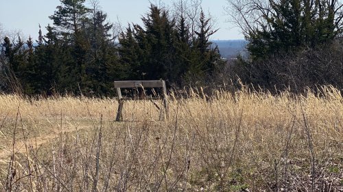 Human remains found in popular Raceway Woods forest preserve – NBC Chicago