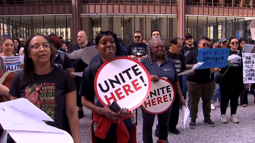 Police ticket 25 Chicago lunch ladies at protest for better pay – NBC ...