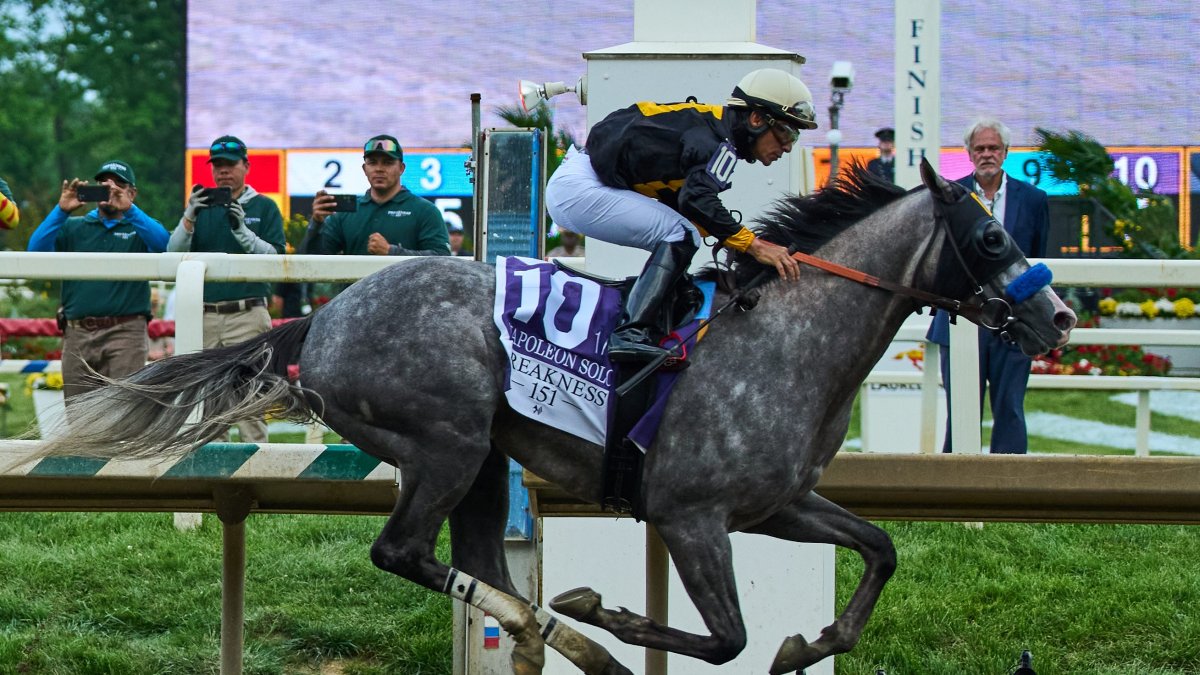 Napoleon Solo wins 151st Preakness Stakes – NBC Chicago