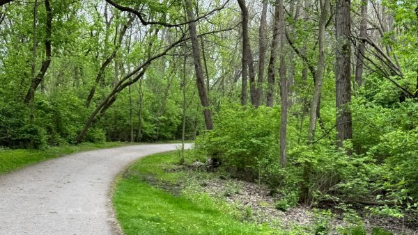 New details released on human remains found in Raceway Woods – NBC Chicago