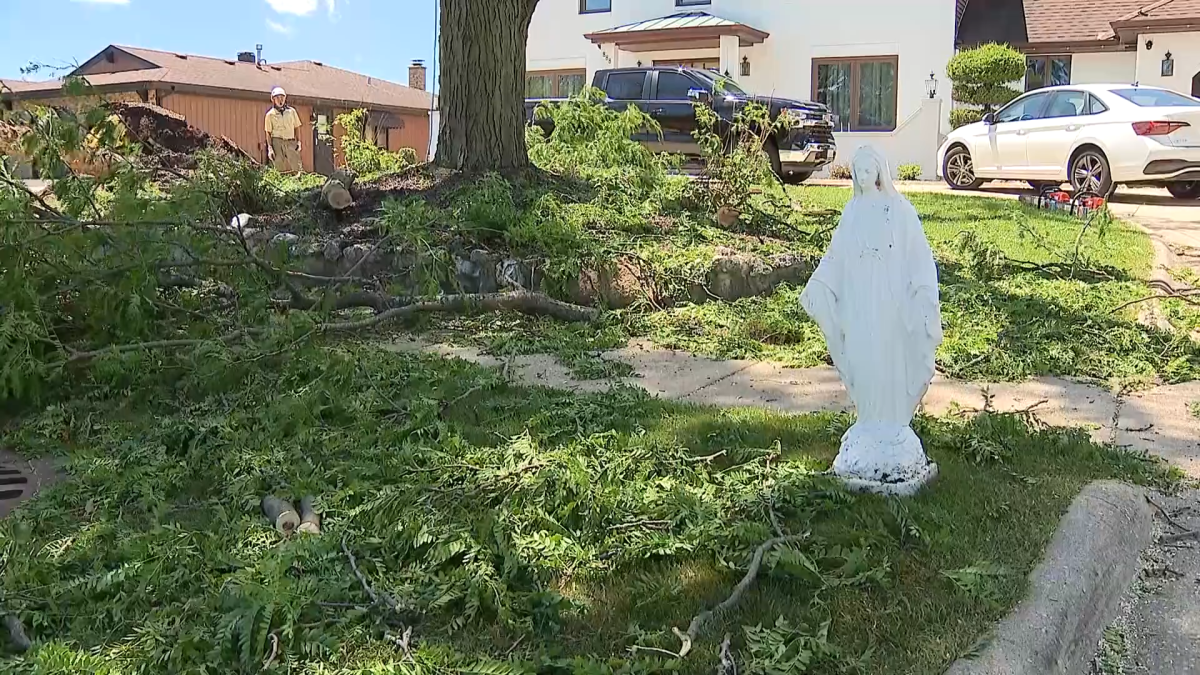 Virgin Mary statue left untouched after tornado hits Bartlett – NBC Chicago