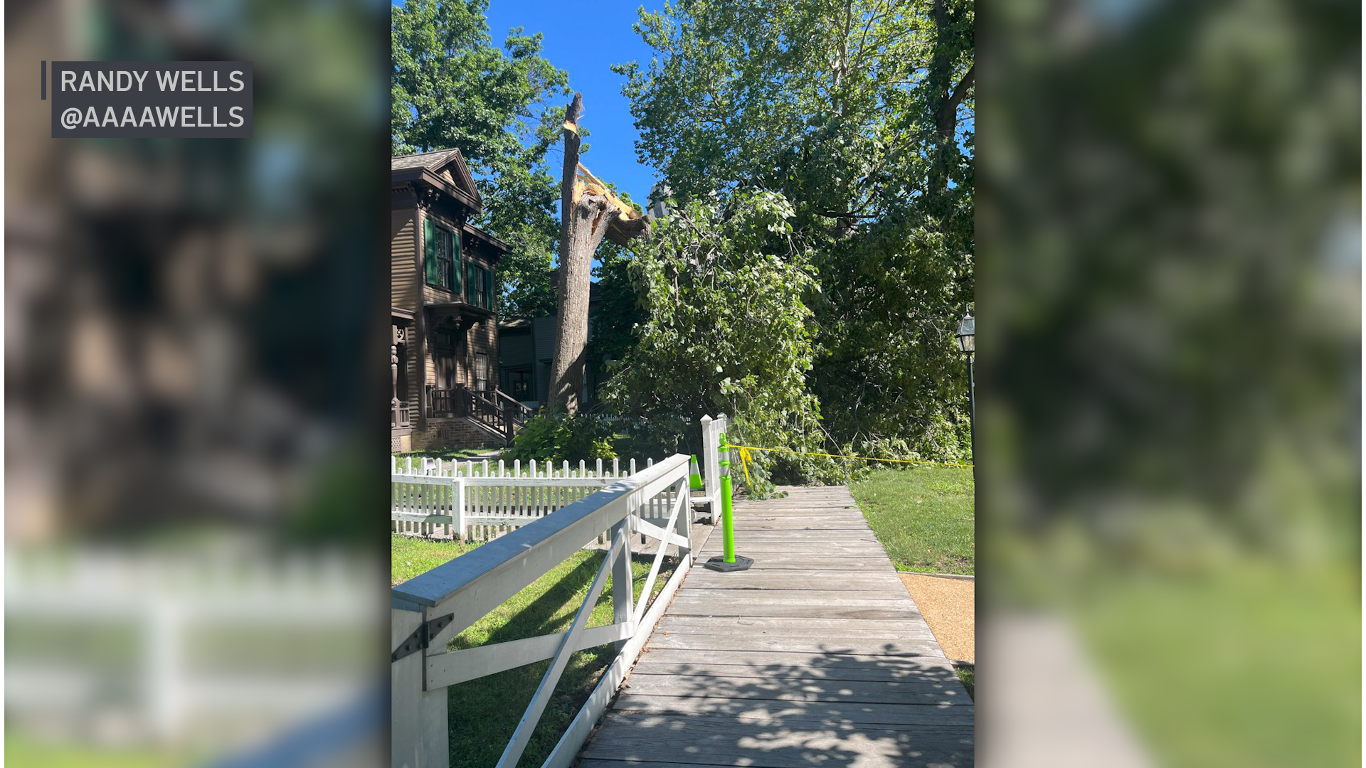 Storms destroy ‘witness tree’ outside Lincolns’ Springfield home – NBC ...