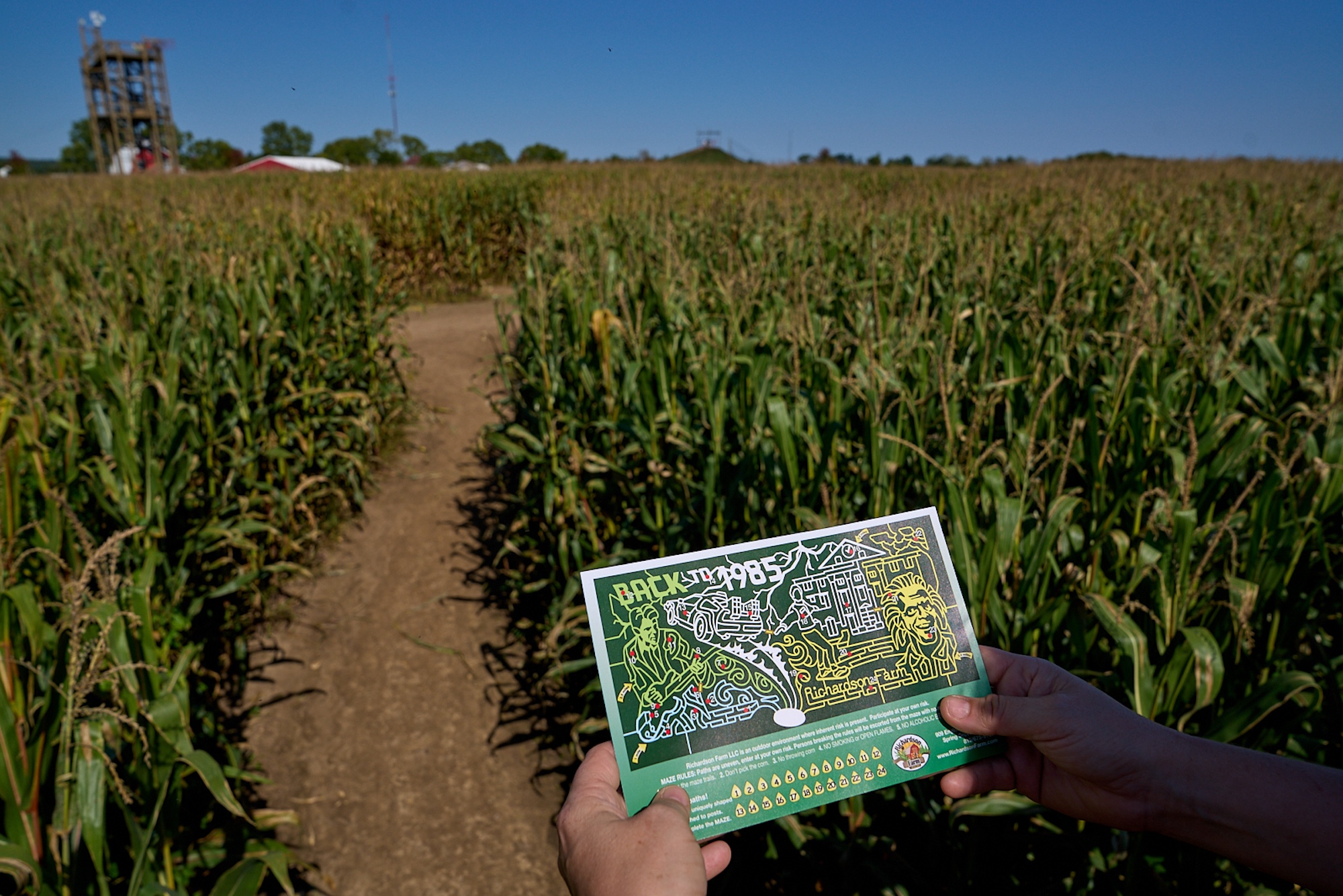 ‘World’s largest corn maze’ in Illinois unveils 2026 design – NBC Chicago