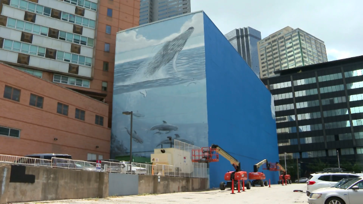 Wyland sues FIFA over Dallas whale mural in federal court – NBC Chicago
