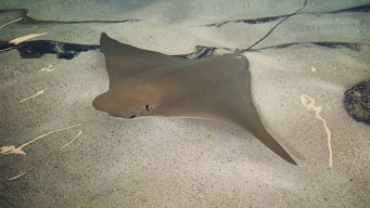 Chicago News | NBC Chicago