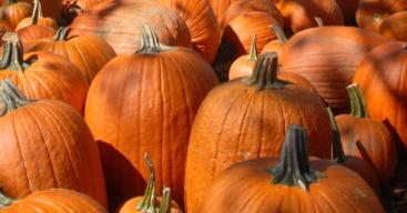 Chicago News | NBC Chicago